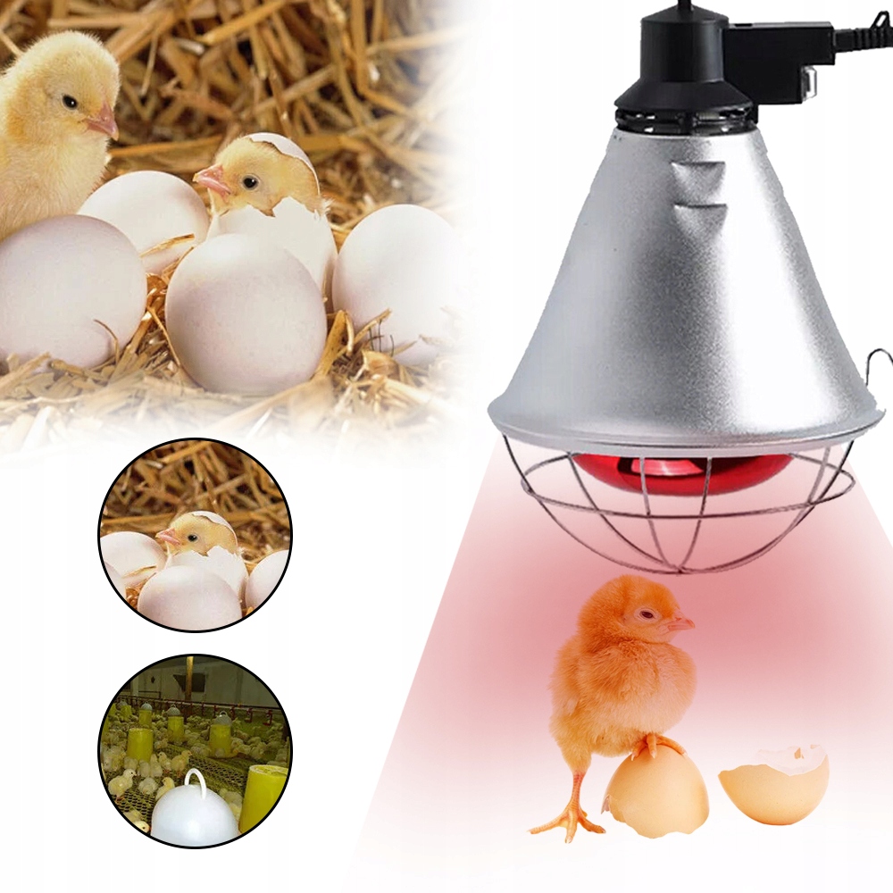 Kích Thước Chao Đèn – Yếu Tố Quan Trọng Quyết Định Hiệu Quả Chiếu Sáng ...