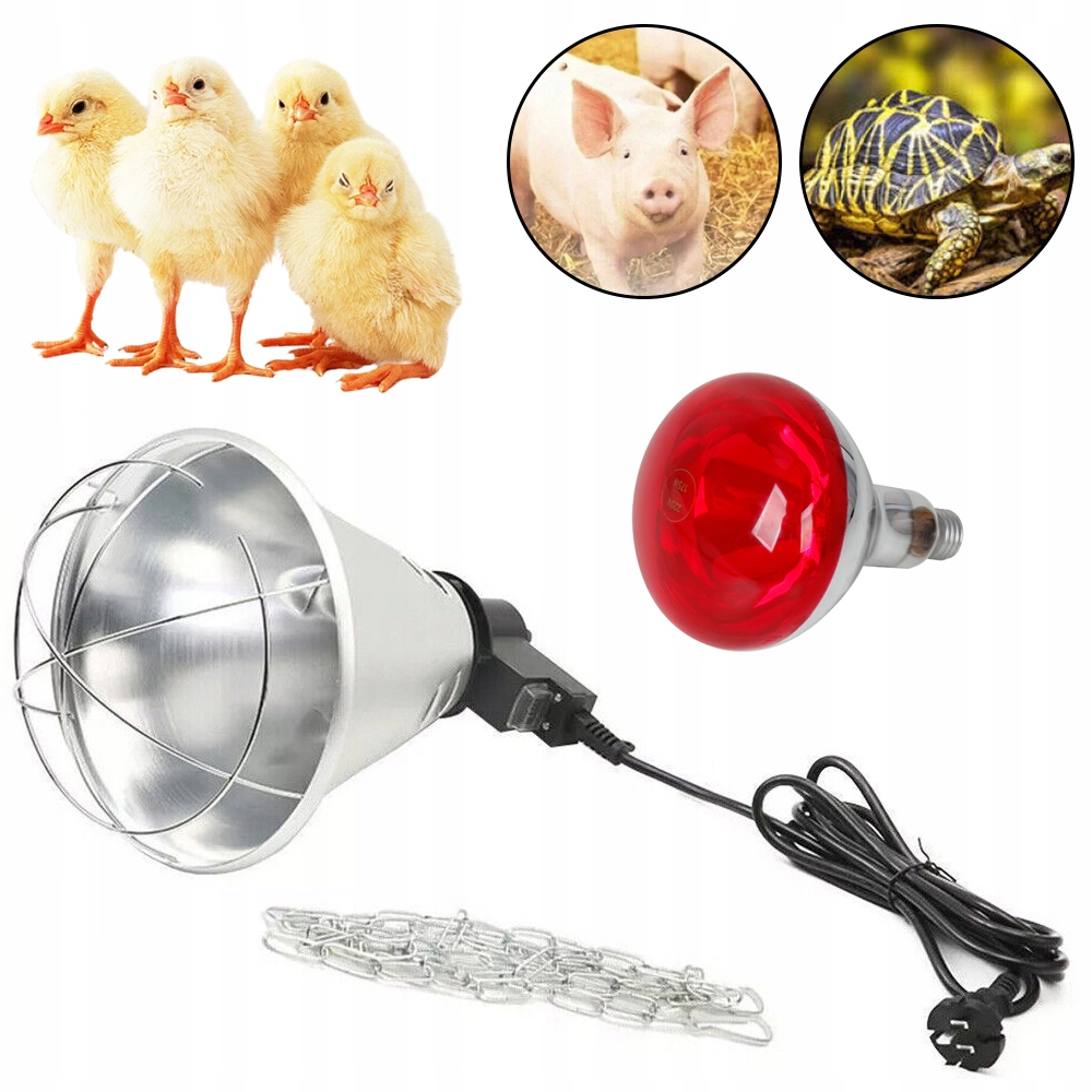 Chao Đèn Dùng Để Làm Gì? Vai Trò Quan Trọng Của Chao Đèn Trong Chăn ...